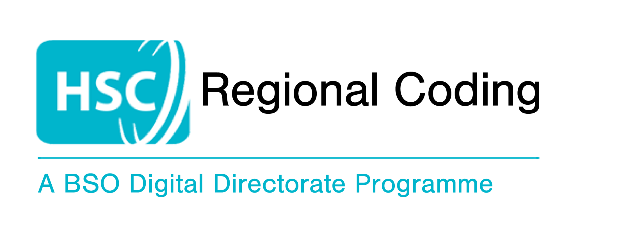 Regional Coding Programme - Business Services Organisation (BSO) Website
